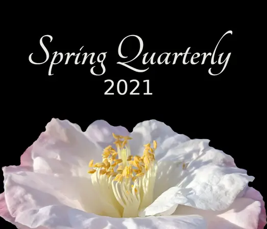 Bohrer Gallery: Spring2021